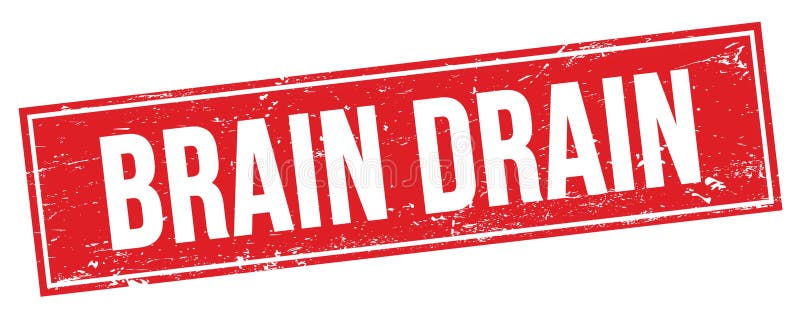 BRAIN DRAIN Text on Red Grungy Rectangle Stamp Stock Illustration ...