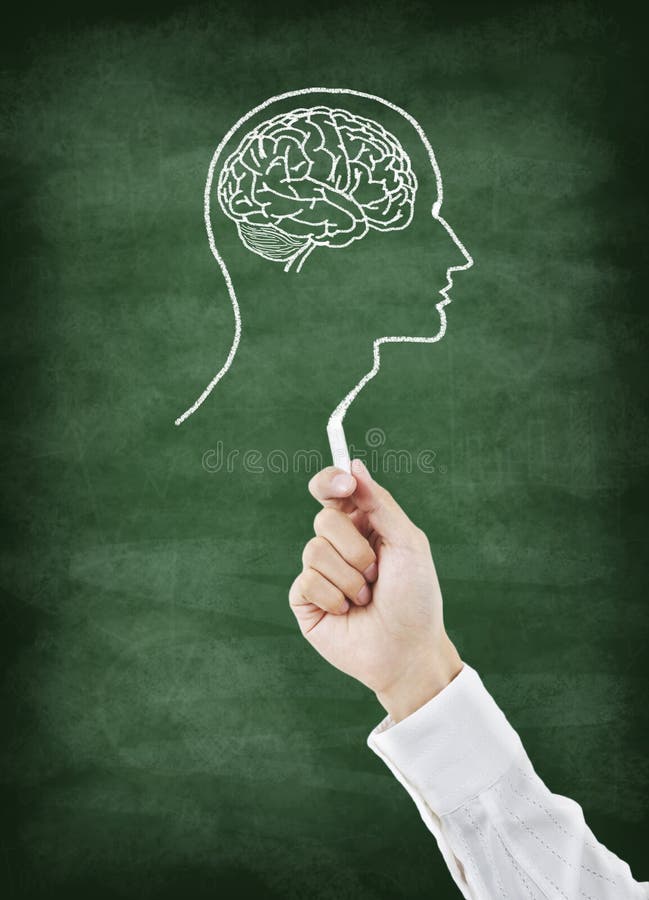 Brain Drawing on Chalkboard Stock Image - Image of cerebral, creativity ...