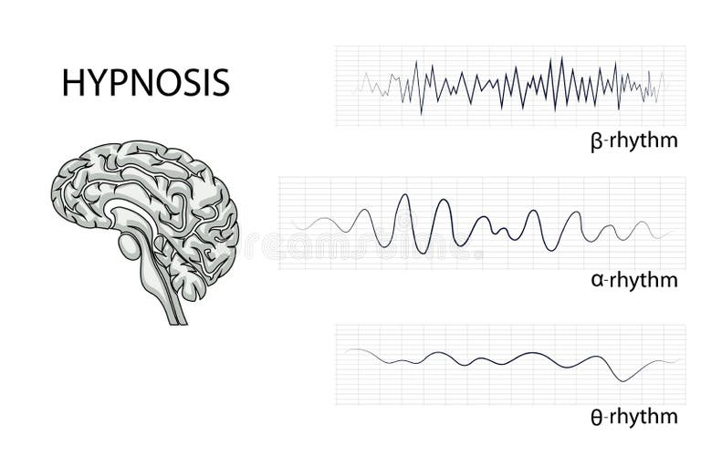 Alpha Brain Waves Stock Illustrations – 104 Alpha Brain Waves Stock ...
