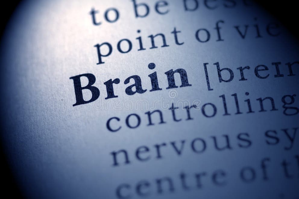 Definition of the Word Brain Stock Image - Image of printing, book ...
