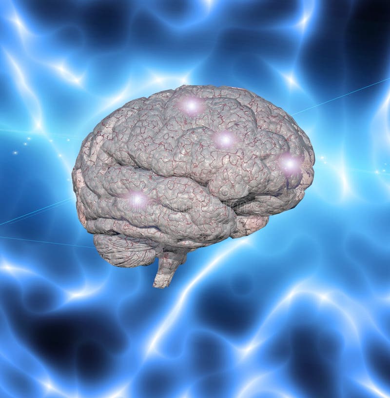 Brain stock illustration. Illustration of healthcare - 83634701