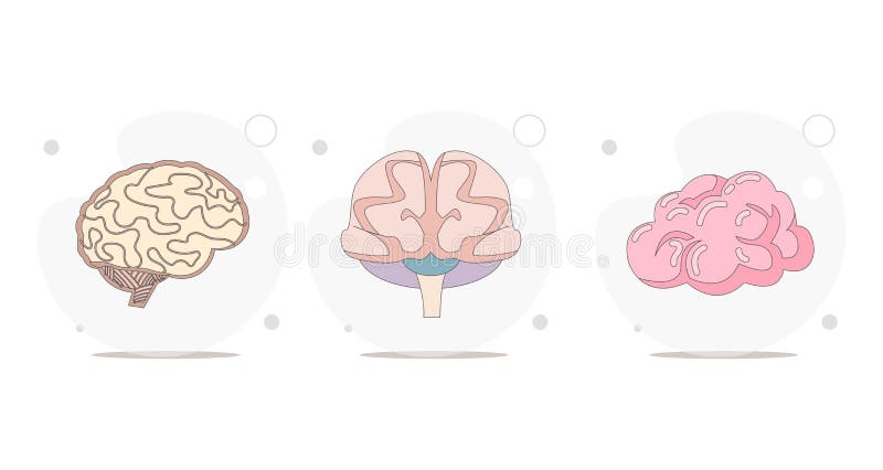Brain Clip Art Set. Brain Vector Clip Art Set. Brain Vector Clip Art ...