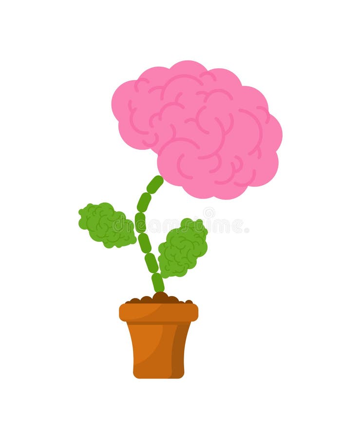 Brain in Flower Pot. Concept Education and Intellect Stock Vector ...