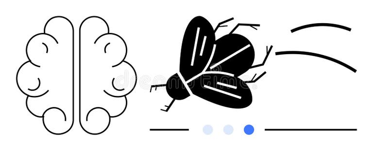 Brain and Fly Representing Quick Reaction and Cognitive Processes Stock ...