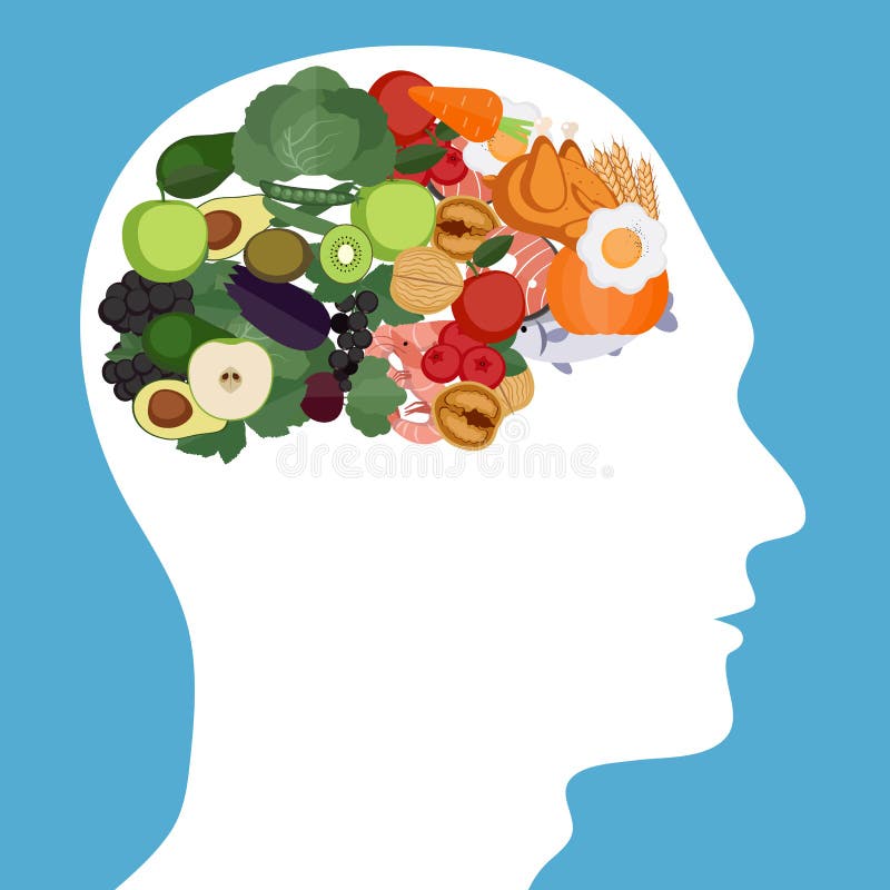 Vector Cartoon of Brains Food Concept Stock Vector - Illustration of ...