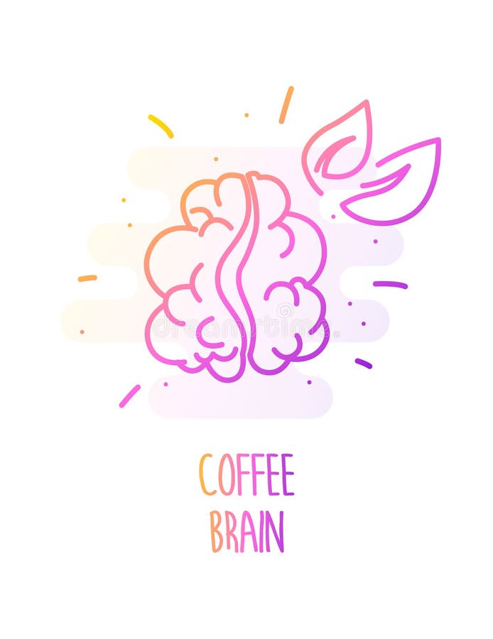 The Brain in the Form of a Coffee Bean in Color Linear Style. Vector ...