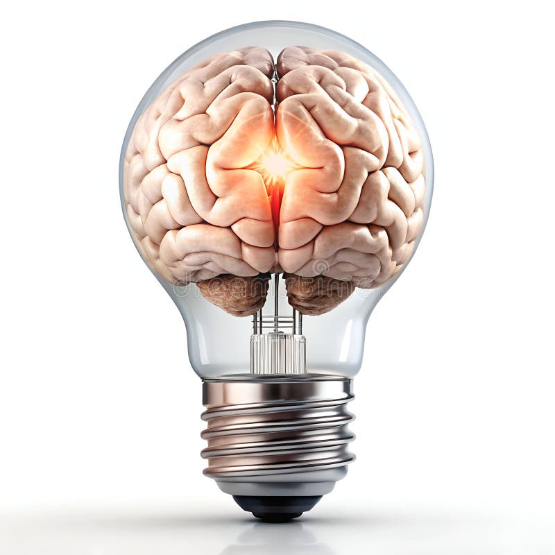 Brain in the Form of a Light Bulb Isolated on White Background ...