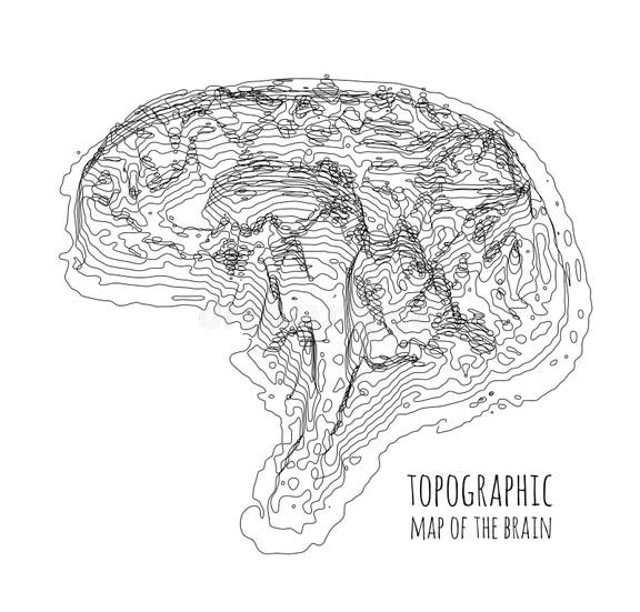 The Brain in the Form of a Topographic Map. the Concept of Modern ...