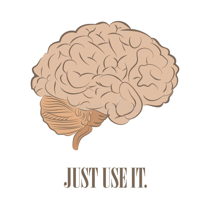 Brain front. Just use it stock vector. Illustration of brainstorming ...