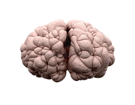 Split Brain Stock Illustrations – 1,883 Split Brain Stock Illustrations ...