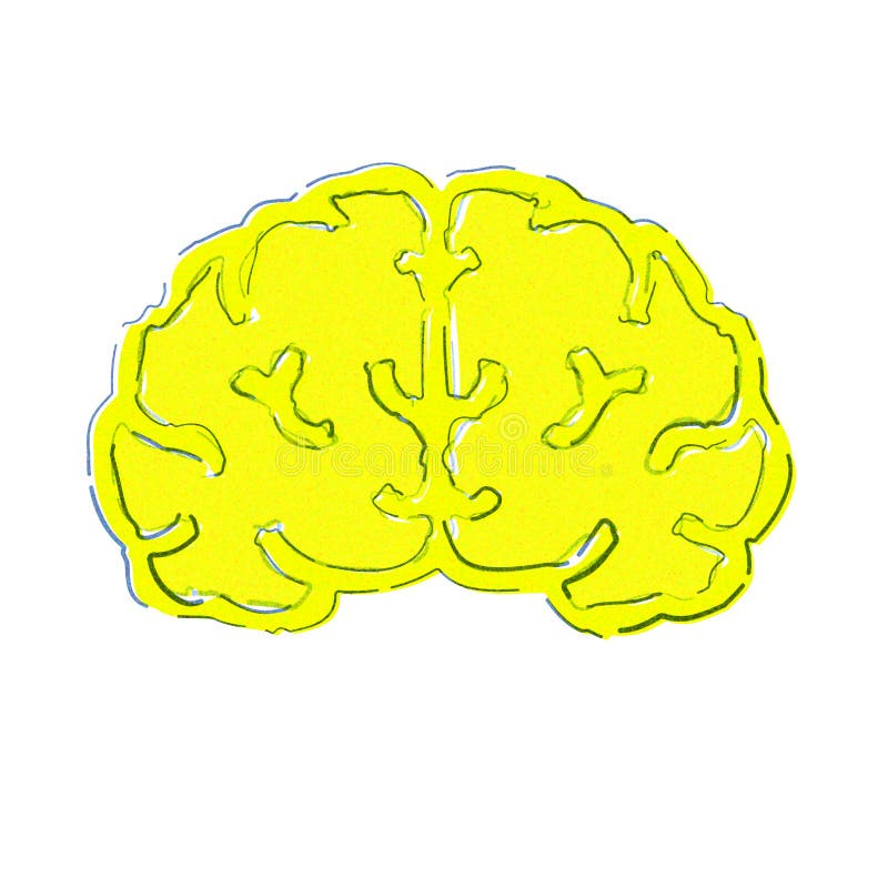 Brain front view icon stock vector. Illustration of body - 89183850