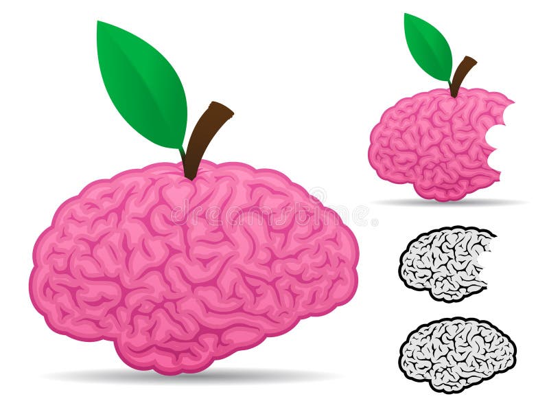 Brain Food On Plate With Fork And Knife Stock Vector - Illustration of ... Brain Food On Plate With Fork And Knife Stock Vector - Illustration of ...