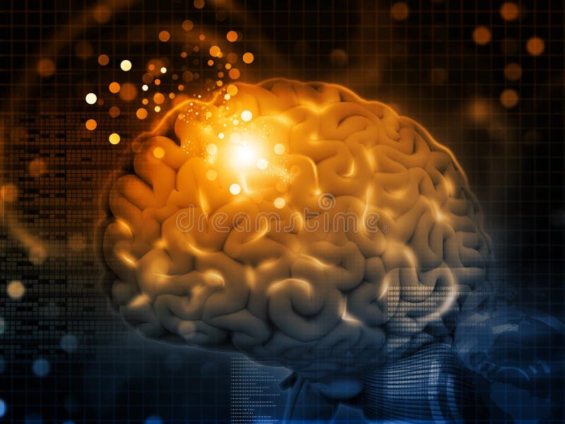 Functions Brain Stock Illustrations – 1,449 Functions Brain Stock ...