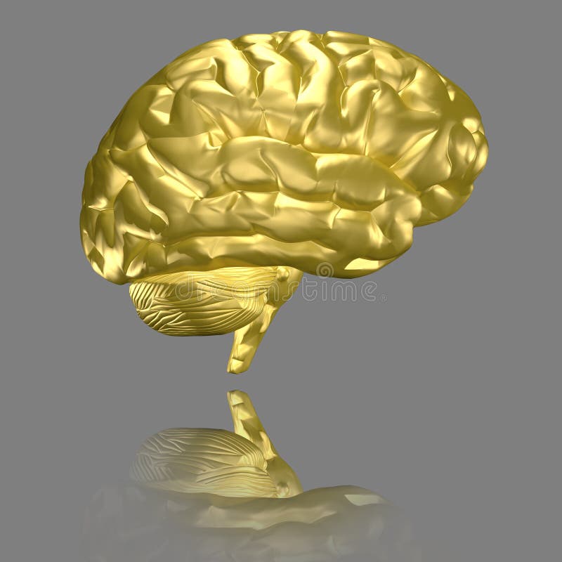Brain - gold stock illustration. Illustration of render - 23040434