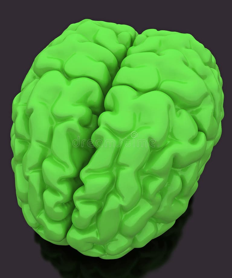 Brain Green Stock Illustrations – 26,653 Brain Green Stock ...