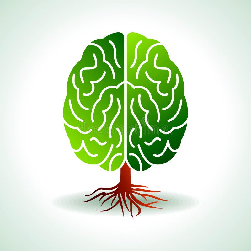 A Brain Growing in the Shape of Tree Stock Vector - Illustration of ...