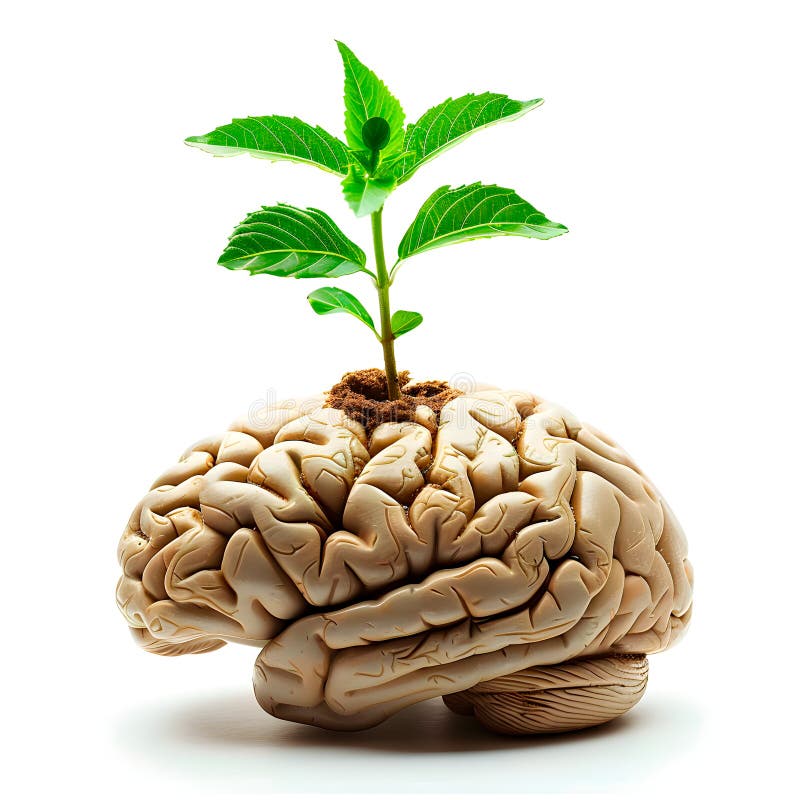 Brain Growth: Conceptual Image of a Seedling Growing from a Human Brain ...