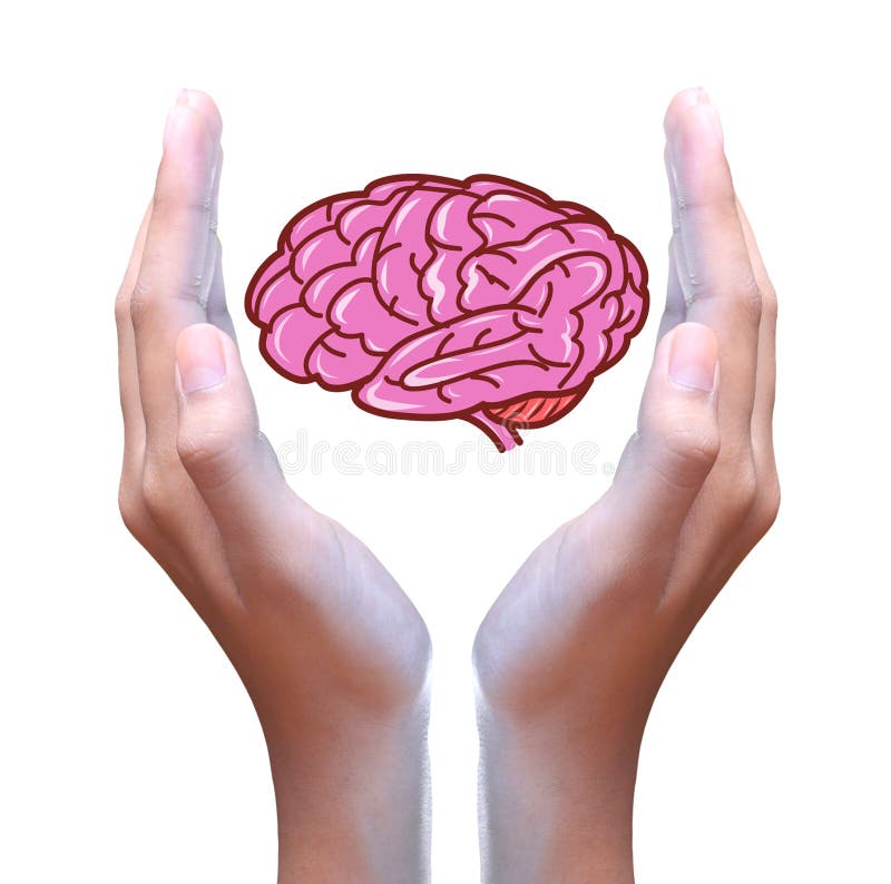 Brain in hand stock photo. Image of sign, anatomy, symbol - 30745350