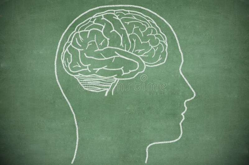 Brain in Head on Chalkboard Stock Illustration - Illustration of body ...