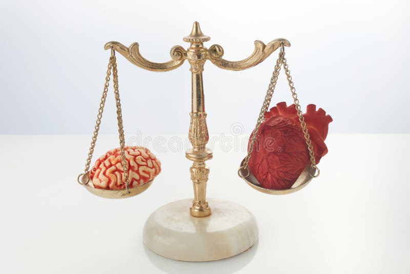 Brain and Heart on Scale Balance on White Background Stock Photo ...