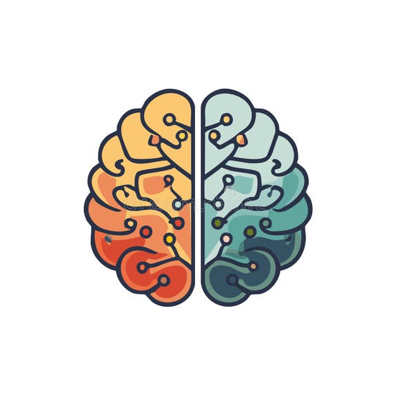Brain Hemispheres Colored Diagram Showing Contrasting Creative and ...