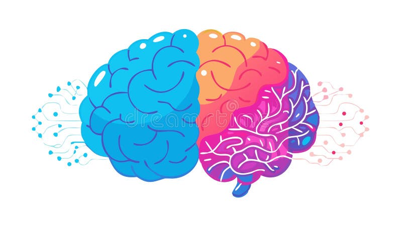 Brain Hemispheres Icon Vector for Logic Creativity Concepts, Vector ...