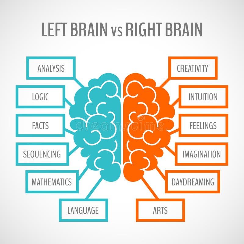 Left Side Brain Stock Illustrations – 422 Left Side Brain Stock ...