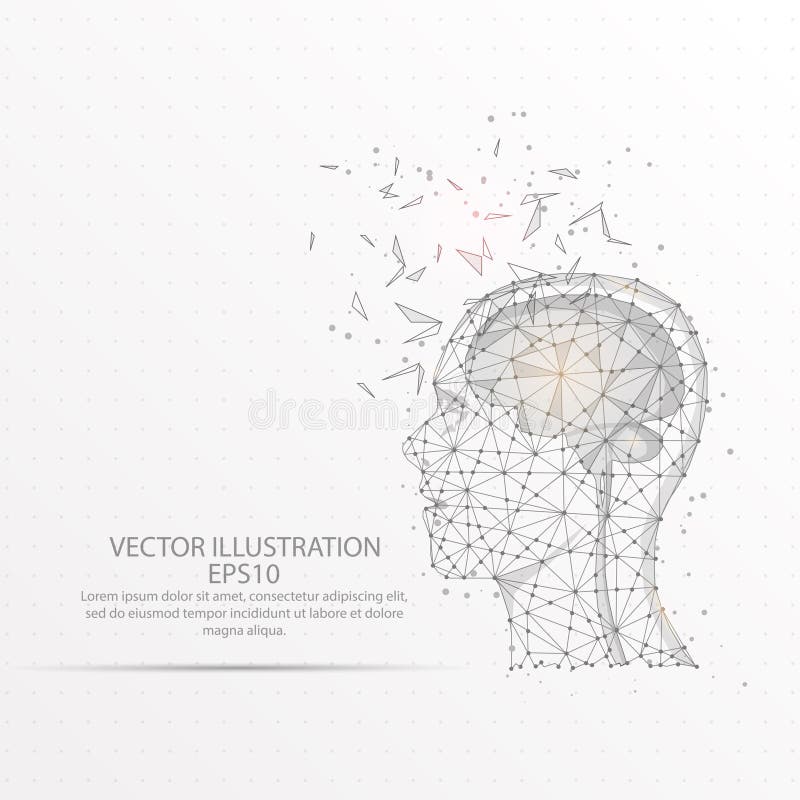 Brain with Human Head Low Poly Wire Frame on White Background. Stock ...