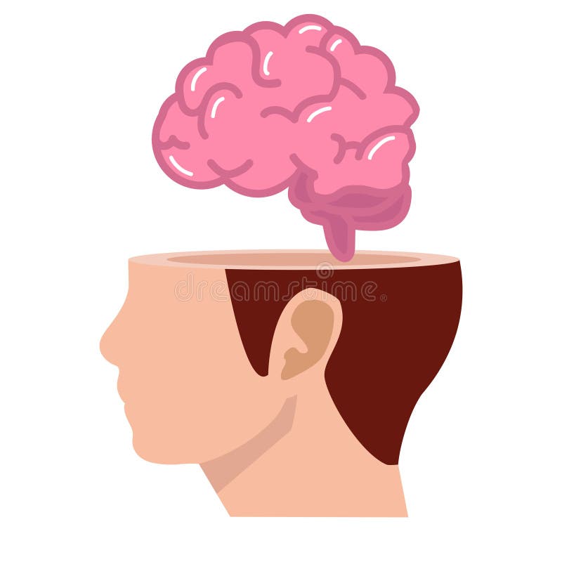 Brain in the Human Head Think Design Vector Stock Vector - Illustration ...