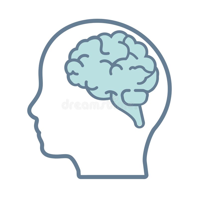 Brain in the Human Head Think Vector Stock Vector - Illustration of ...