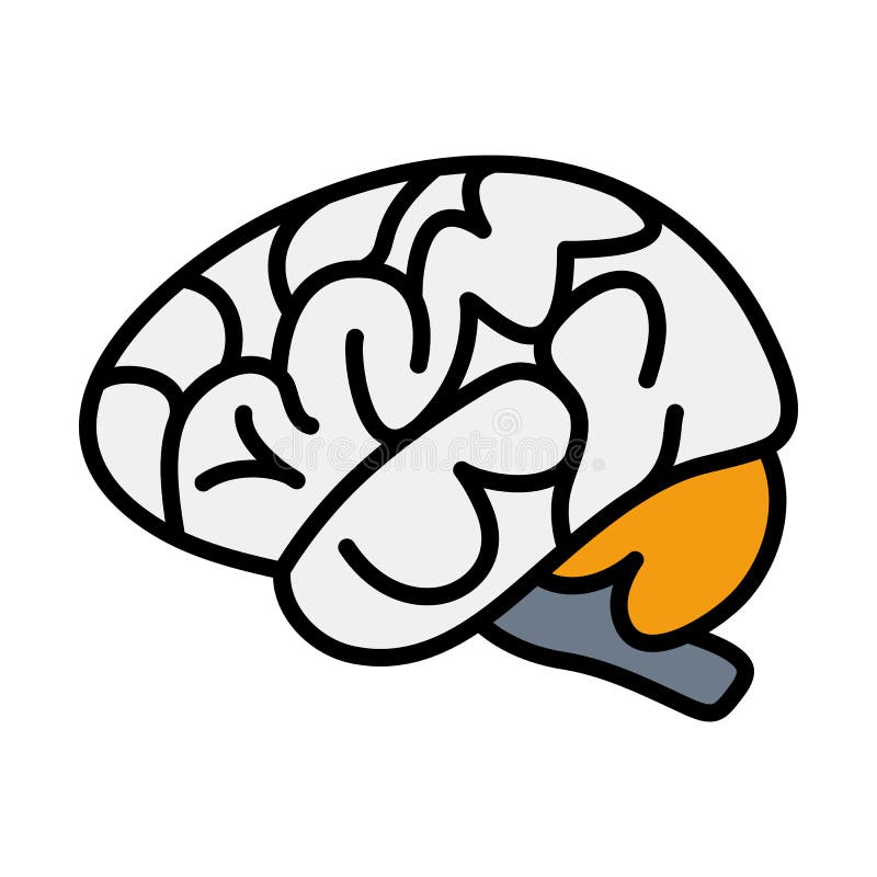 Bold Brain Stock Illustrations – 1,020 Bold Brain Stock Illustrations ...