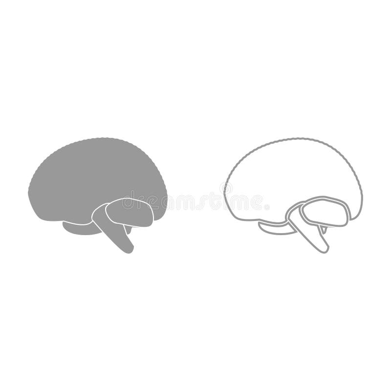 Brain it is icon . stock vector. Illustration of pictogram - 99624009