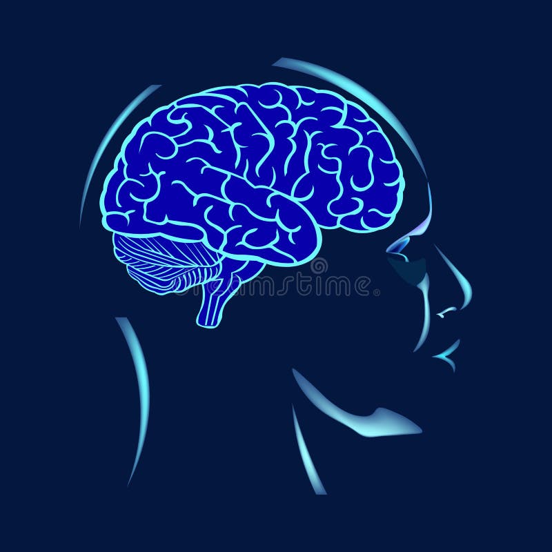 Brain Icon. Head Profile. Illustration of Human Anatomy. Problem ...