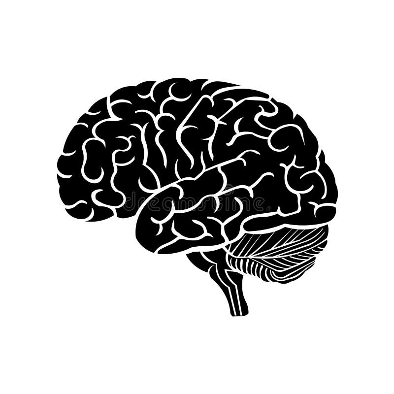 Brain Icon. Illustration for Human Anatomy. Problem Solving Symbol ...
