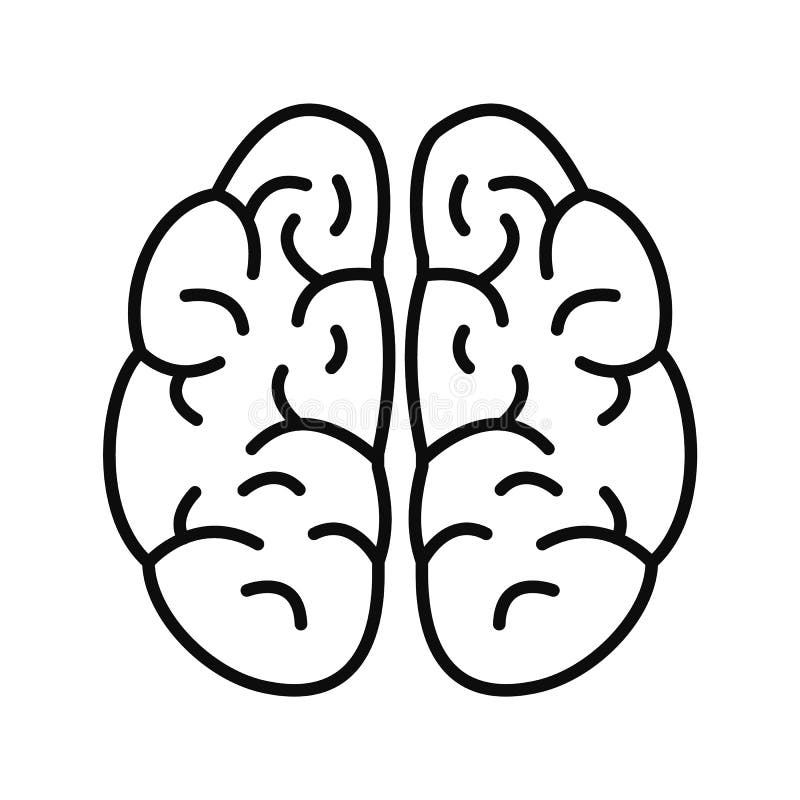 Brain icon, outline style stock illustration. Illustration of anatomy ...