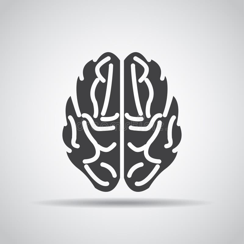 Brain Icon with Shadow on a Gray Background. Vector Illustration Stock ...