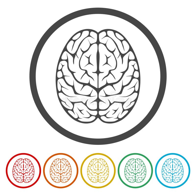 Brain icon symbol set stock vector. Illustration of brain - 161767237