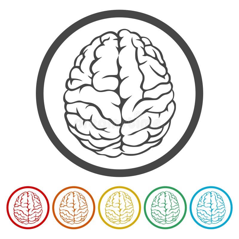 Brain icon symbol set stock vector. Illustration of brain - 161767260