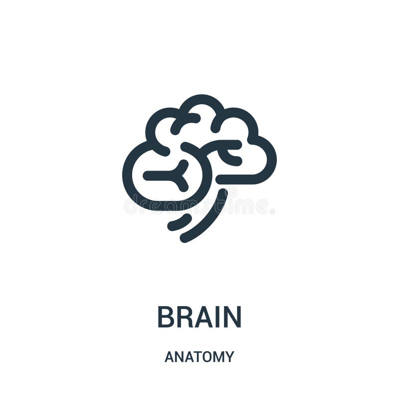Brain Icon Vector from Classics Collection. Thin Line Brain Outline ...
