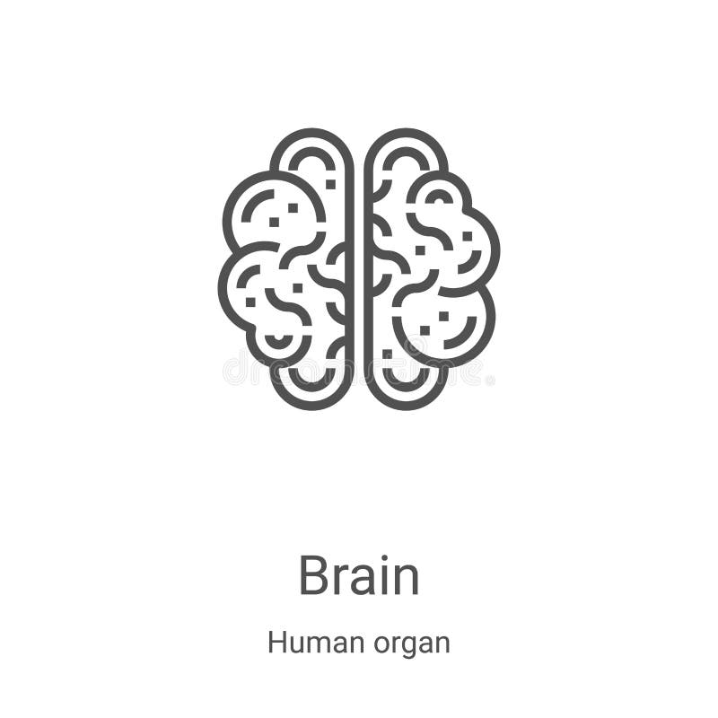 Brain Icon Vector from Human Mind Collection. Thin Line Brain Outline ...