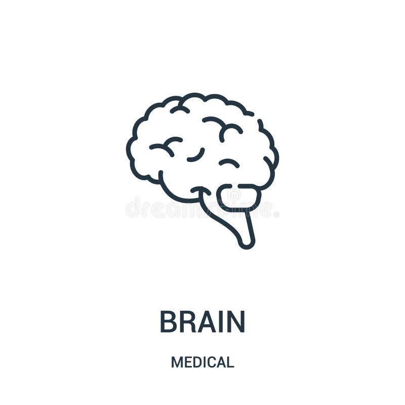 Brain Icon Vector from Medical Collection. Thin Line Brain Outline Icon ...