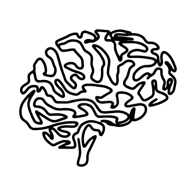 Brain Icon Vector Sign Isolated on White Background. Stock Vector ...