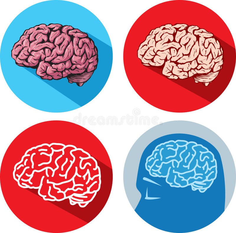 Brain icons stock vector. Illustration of stem, organ - 39793486