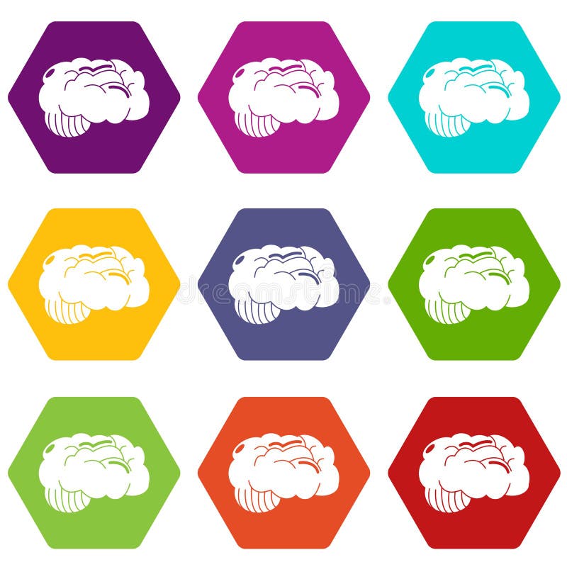 Brain icons set 9 vector stock vector. Illustration of design - 117675612