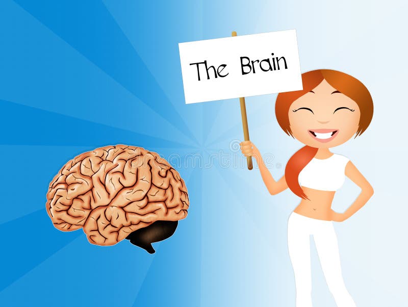 The brain stock illustration. Illustration of human, cancer - 54240722