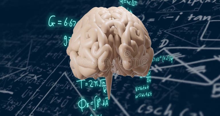 Brain Image Over Mathematical Equations and Formulas Stock Illustration ...