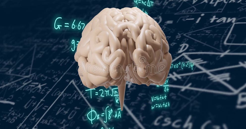 Brain Image Over Mathematical Equations and Formulas Stock Illustration ...