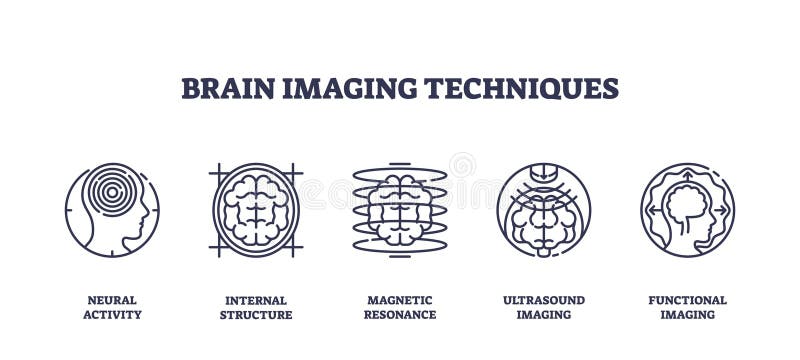 Brain Imaging Techniques Icons Show Neural Activity, Brain Structure ...