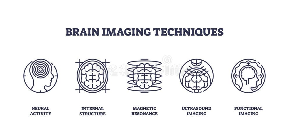 Brain Imaging Techniques Icons Show Neural Activity, Brain Structure ...