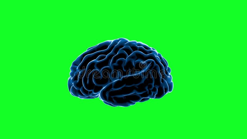 Brain Impulses. Neuron System. Human Anatomy. Transferring Pulses and ...